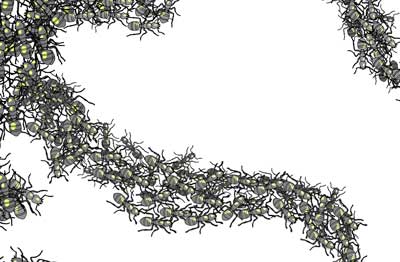 The hive mind of an ant superorganism – Christopher Madden